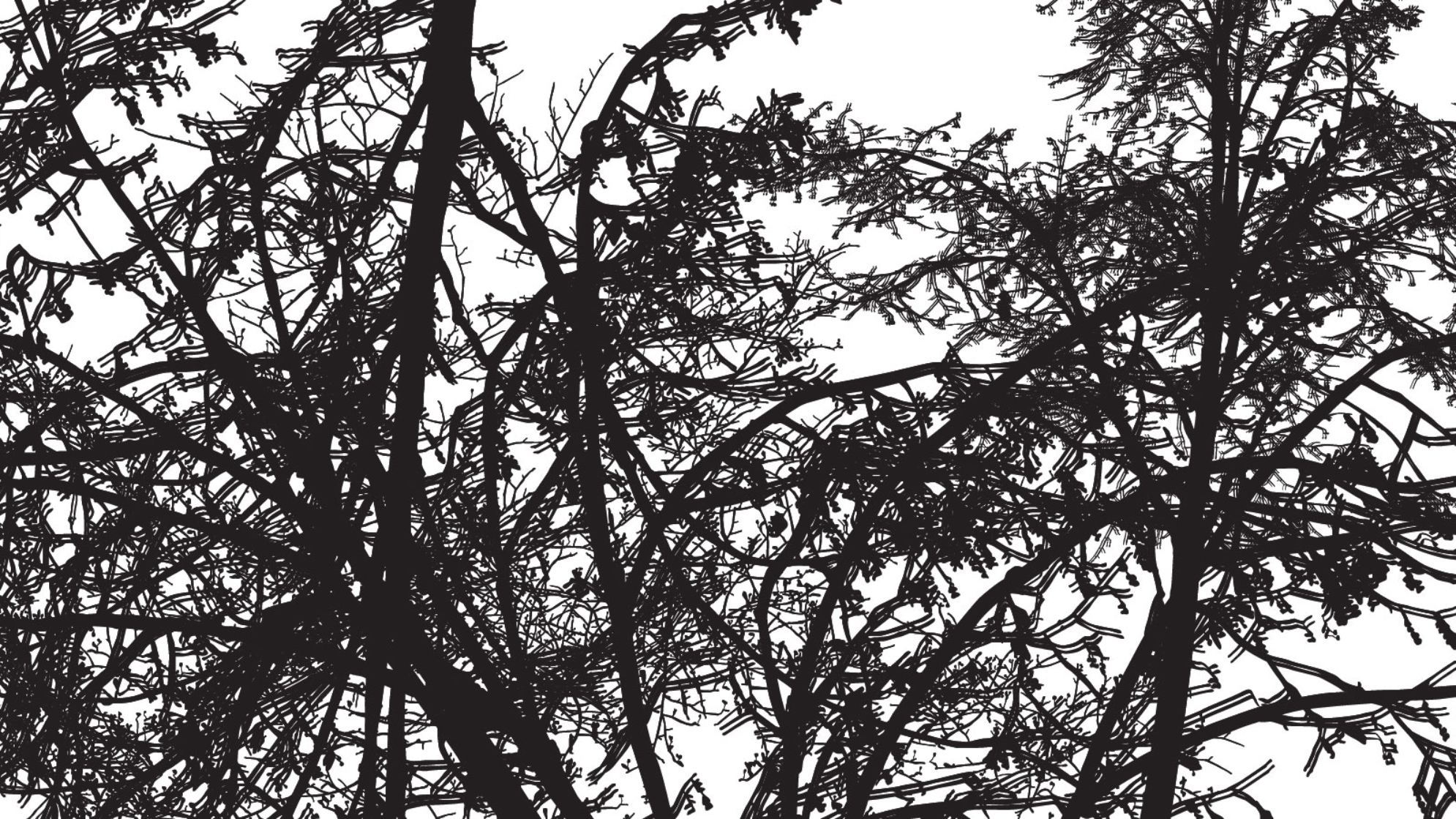 Franco Morretti: Sentences of Trees – pulse berlin